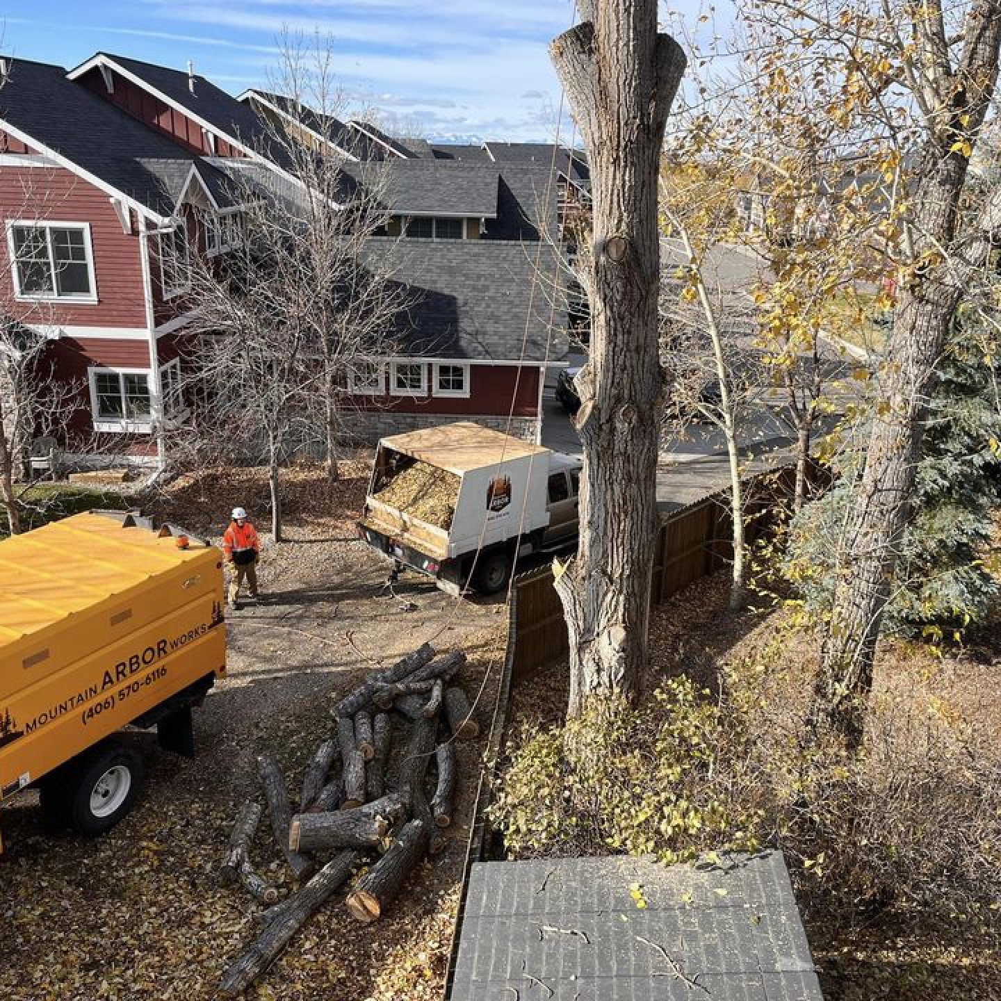 Tree Crown Cleaning, Tree Thinning Service | Bozeman & Belgrade, MT ...